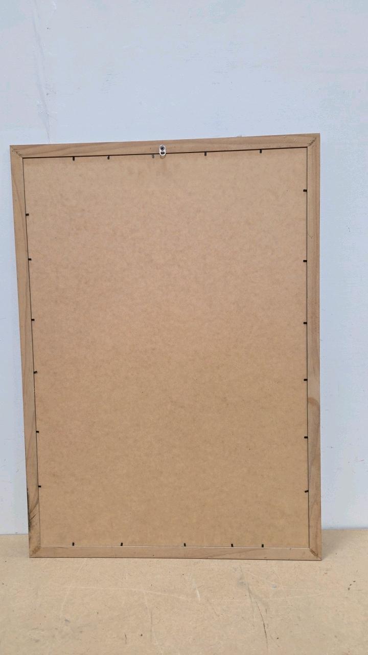 Lot 861 - FRAMES BACK TO THE FUTURE POSTER 42" X 30"